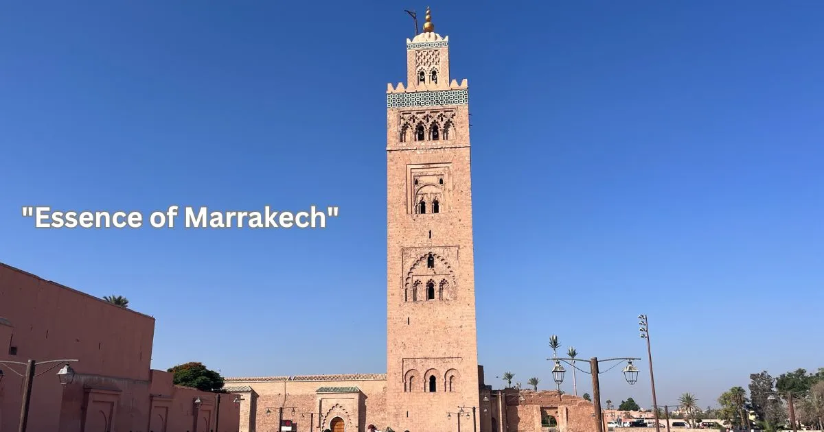 best marrakech medina walking tour - Morkosh Tours